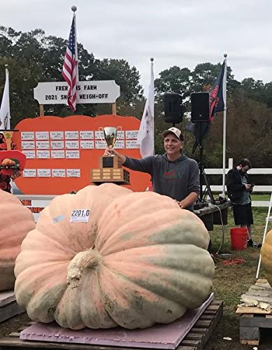 Ron Wallace's Whoppers Giant Pumpkin Seeds (5 Seeds per Package)