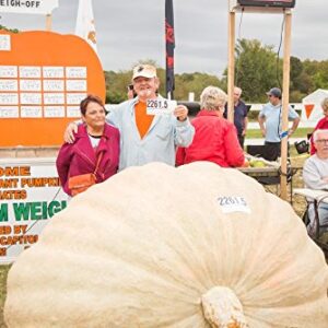 Ron Wallace's Whoppers Giant Pumpkin Seeds (5 Seeds per Package)