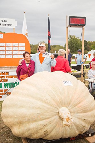 Ron Wallace's Whoppers Giant Pumpkin Seeds (5 Seeds per Package)