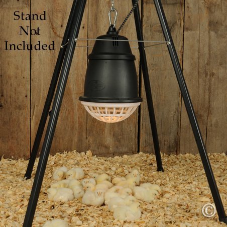 Premier 1 “Prima” Heat Lamp