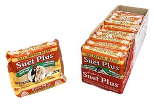 suet plus suet cake packs (hot pepper blend)