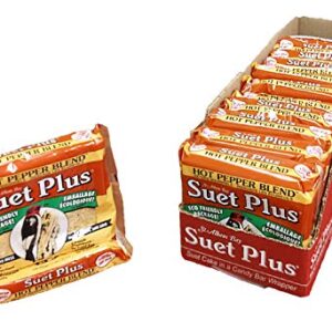 Suet Plus Suet Cake Packs (Hot Pepper Blend)