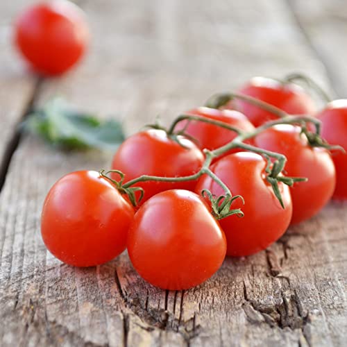 50 Campari Tomato Seeds ,Sweet Juicy, High Sugar Level, Low Acidity!