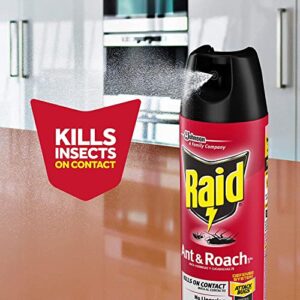 Raid Ant & Roach Killer Outdoor Fresh Cans 12 oz. (Pack of 3)