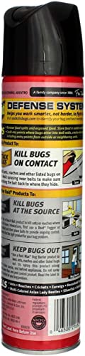 Raid Ant & Roach Killer Outdoor Fresh Cans 12 oz. (Pack of 3)