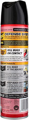 Raid Ant & Roach Killer Outdoor Fresh Cans 12 oz. (Pack of 3)