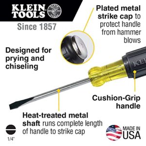 Klein Tools 32008 Demolition and Phillips Screwdriver Set with Plated Metal Strike Cap and Heat Treated Blade, 2-Piece