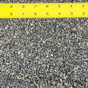 3 Lbs Criva Bean Pebbles for Bonsai Humidity Tray/Bonsai Tree Top Dressing