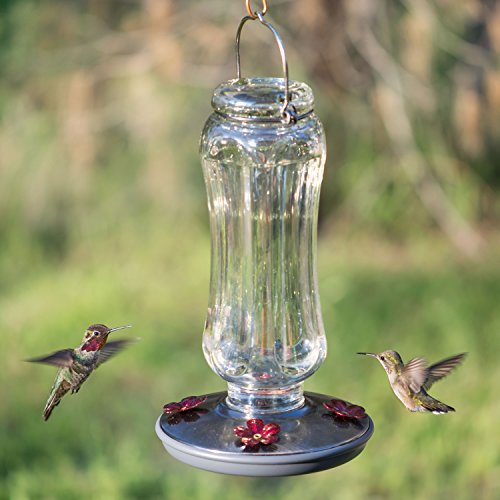 Perky-Pet 8132-2 Starglow Vintage Glass Hummingbird Feeder