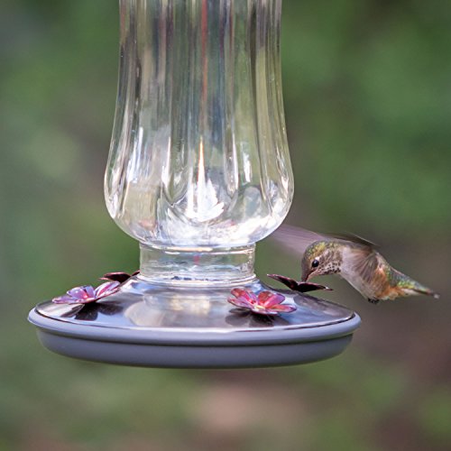 Perky-Pet 8132-2 Starglow Vintage Glass Hummingbird Feeder