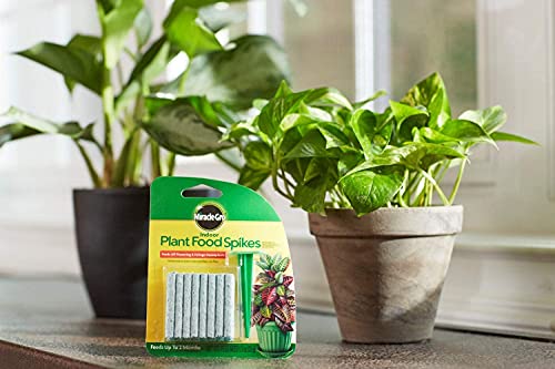 Plant Food Spikes, 6-12-6 Formula, 1.1-oz.