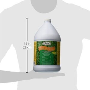 Medina 12-4-8 HastaGro Lawn, 1 gallon