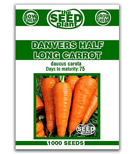 The Dirty Gardener Danvers Half Long Carrots, 1,000 Seeds