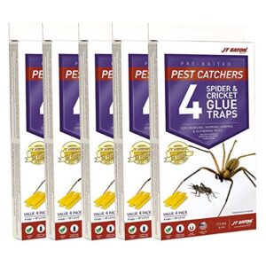 j t eaton 076706844002 spider and cricket glue trap (pack of 5), white box