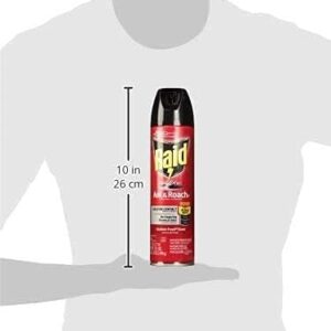 Raid Ant and Roach Killer 17.5 Ounce (Pack of 3)