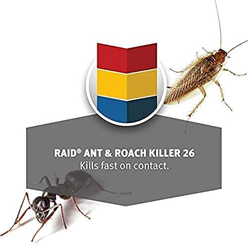 Raid Ant and Roach Killer 17.5 Ounce (Pack of 3)