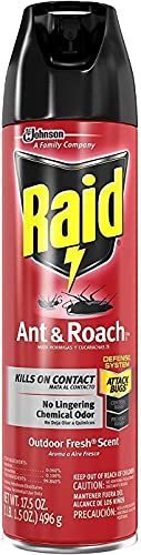 Raid Ant and Roach Killer 17.5 Ounce (Pack of 3)