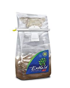 exhale co2 ex50003 exhale 365-self activated co2 bag, 365