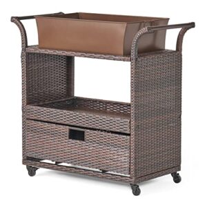 christopher knight home ravenna barcart, multibrown