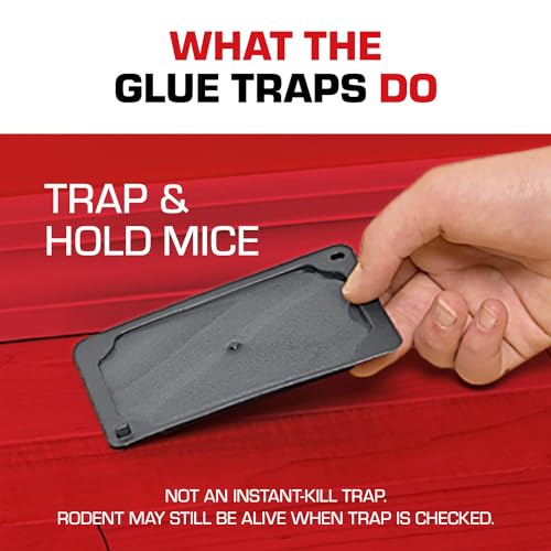 Tomcat Mouse Trap with Immediate Grip Glue for Mice, Cockroaches, Spiders, and Scorpions, Ready-To-Use, 4 Traps