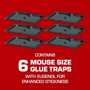 Tomcat Mouse Trap with Immediate Grip Glue for Mice, Cockroaches, Spiders, and Scorpions, Ready-To-Use, 4 Traps