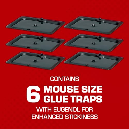 Tomcat Mouse Trap with Immediate Grip Glue for Mice, Cockroaches, Spiders, and Scorpions, Ready-To-Use, 4 Traps