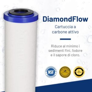 Pentek 655130-43 Sediment/Carbon Filter