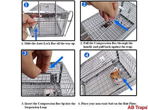 AB Traps Quality Live Animal Humane Trap Catch and Release Rats Mouse Mice Rodents Cage - Voles Squirrel and Similar Sized Pets Safe and Effective | Size Small