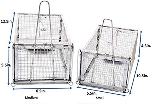 AB Traps Quality Live Animal Humane Trap Catch and Release Rats Mouse Mice Rodents Cage - Voles Squirrel and Similar Sized Pets Safe and Effective | Size Small