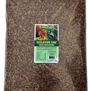 NaturesPeck® Dried Mealworms (11-22-44 lbs) Non-GMO High Protein Treats for Chickens & Wild Birds