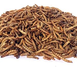 NaturesPeck® Dried Mealworms (11-22-44 lbs) Non-GMO High Protein Treats for Chickens & Wild Birds