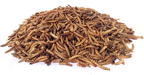 NaturesPeck® Dried Mealworms (11-22-44 lbs) Non-GMO High Protein Treats for Chickens & Wild Birds