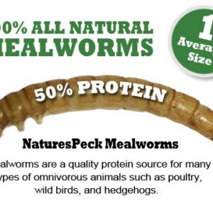 NaturesPeck® Dried Mealworms (11-22-44 lbs) Non-GMO High Protein Treats for Chickens & Wild Birds