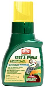 ortho insect killer tree & shrub concentrate, 16 oz.