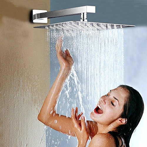 SR SUN RISE Universal Showering Components Shower Arm Polished Chrome