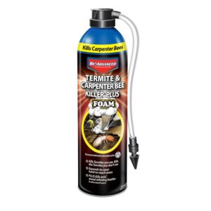 bioadvanced termite and carpenter bee killer plus, foam, 18 oz