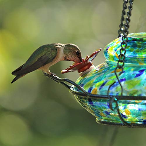 Nature's Way Bird Products GHF7 Hand Blown Illuminated Top Fill Hummingbird Feeder