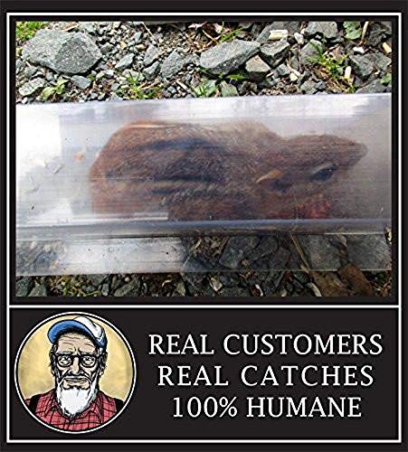 Grandpa Gus's CCT-2 Humane Live Catch & Release Critter & Rodent Trap, Indoor/Outdoor Reusable with No Poison/Glue & No Killing (Pack of 2)