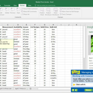 Professor Teaches Excel 2016 [Download]