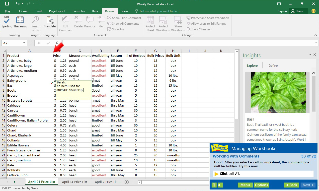 Professor Teaches Excel 2016 [Download]