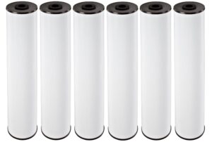 pentek rffe20-bb big blue 20x4.5 whole house iron reduction water filter 6 pack