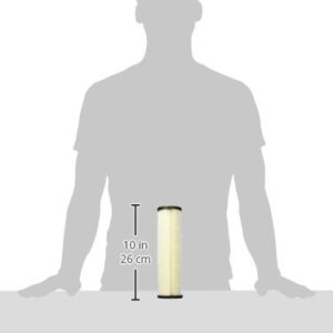 OmniFilter RS1SS 20 Micron 10 x 2.5 Comparable Sediment Filter 12 Pack