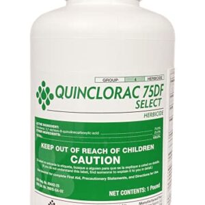 Select Source Quinclorac 75 Herbicide - 1 Pound (Drive 75, Quinstar) by