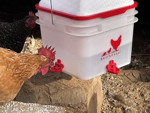 RentACoop 2 Gallon Chicken BPA-Free Plastic Bucket Waterer Set with 4 Horizontal Nipples - Center Placement