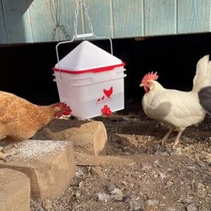 RentACoop 2 Gallon Chicken BPA-Free Plastic Bucket Waterer Set with 4 Horizontal Nipples - Center Placement