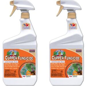 BONIDE PRODUCTS 775 Ready-to-Use Copper Fungicide, 32-Ounce [2-Pack]