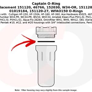 Captain O-Ring - Replacement 151120 O-Ring compatible with Pentek Water Filter Housing (3 Pack) [also called 152030, W34-OR, WFAO150, etc)