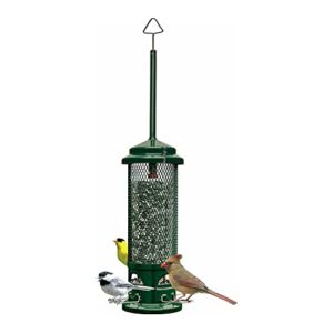 squirrel buster legacy squirrel-proof bird feeder w/4 metal perches, 2.6-pound seed capacity