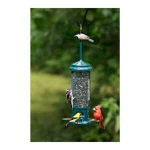 Squirrel Buster Legacy Squirrel-proof Bird Feeder w/4 Metal Perches, 2.6-pound Seed Capacity