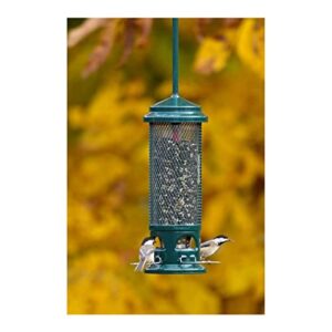 Squirrel Buster Legacy Squirrel-proof Bird Feeder w/4 Metal Perches, 2.6-pound Seed Capacity